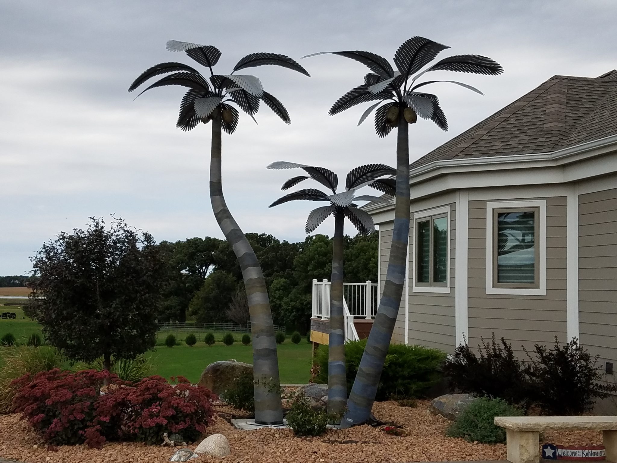 Custom Palm Tree Co