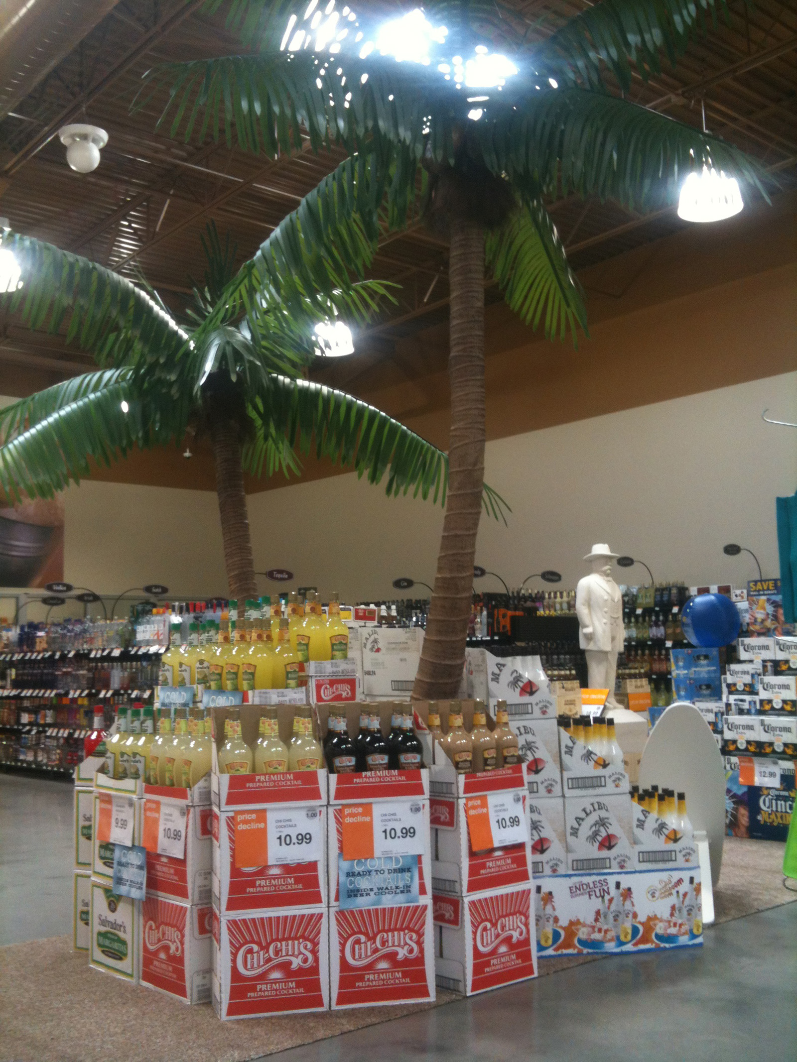 Most Popular Exterior Palms – Custom Palm Tree Co